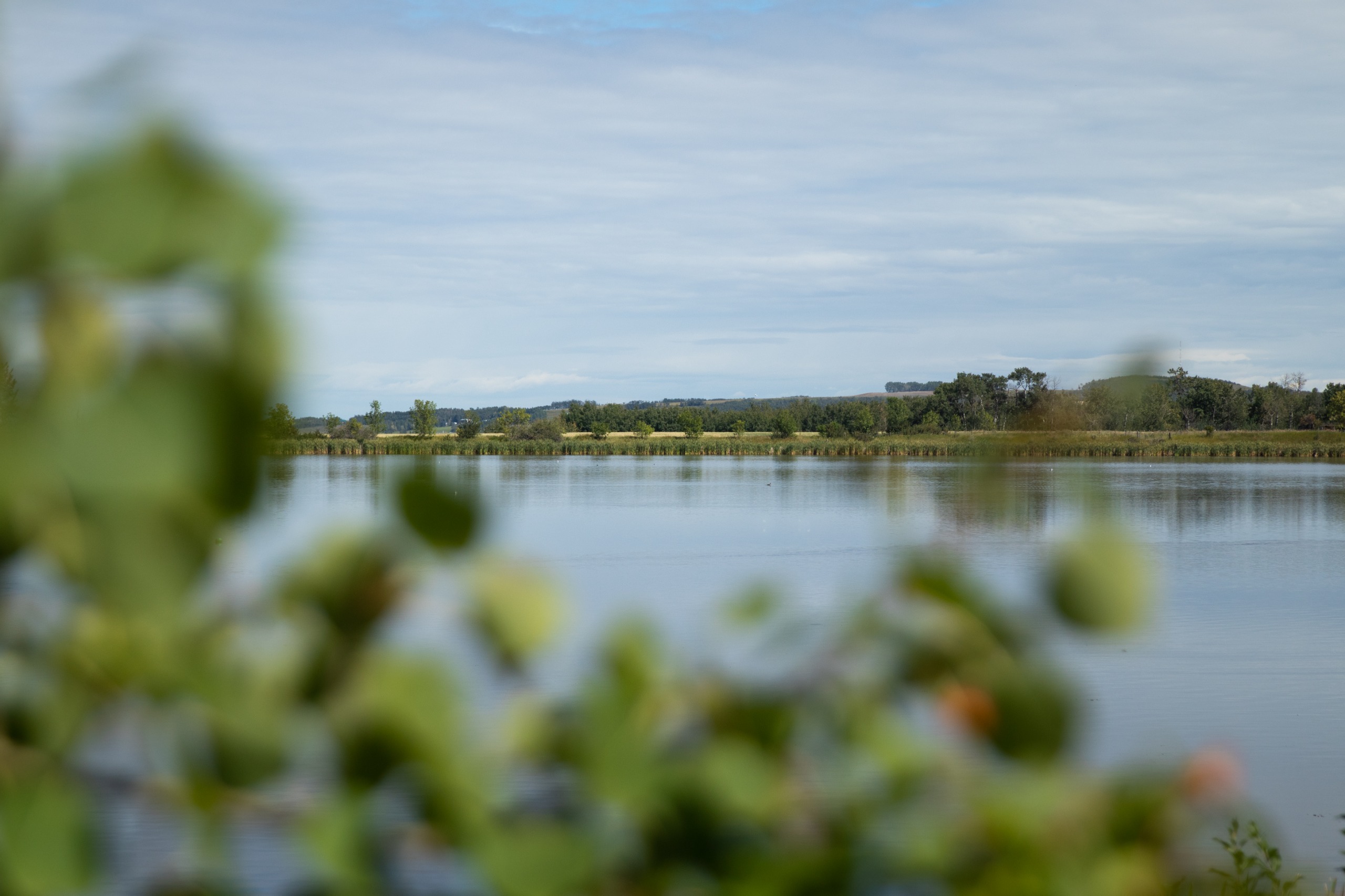 Innisfail Green Initiatives | Involve Innisfail